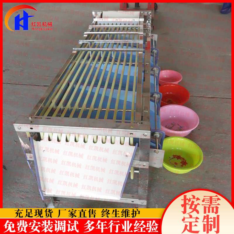 厂家供应百香果分选机 全自动沃柑分选机 供应轨道式选果机设备
