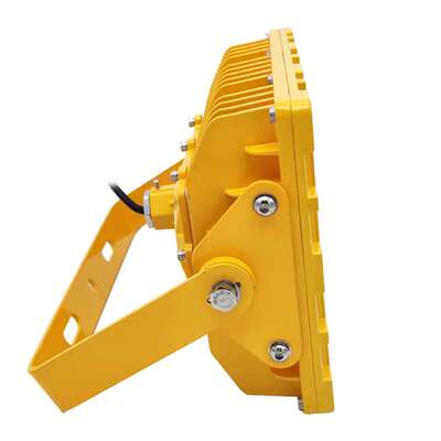 ZY8165-100WZY8165-100W LED防爆泛光灯侧壁式支架照明灯70W