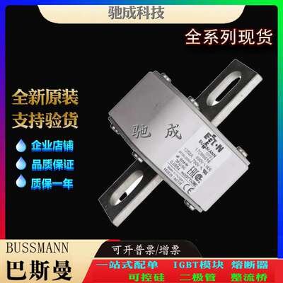 巴斯曼170M6617 170M6618 170M6619 加工制作 零售 方体熔断器