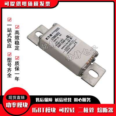 170M1760 170M1761 170M1762 170M1770 170M1771巴斯曼熔断器现货