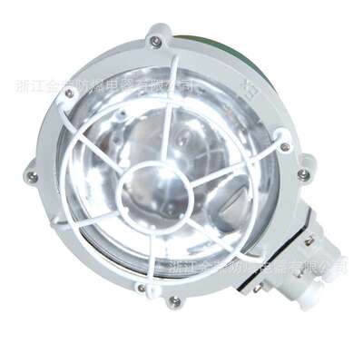 金荣免维护LED防爆吸顶灯CCd96环形荧光灯BXL-100低顶灯18W圆形