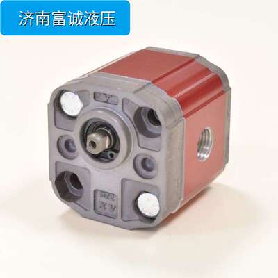 惠供意大利VIVOLO维沃原装双向齿轮泵XV-0R/0.25 cm3/giro液压泵