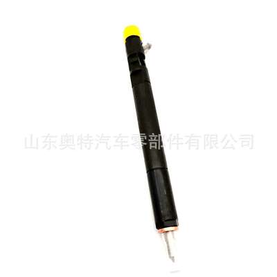 EMBR00101D喷油器总成