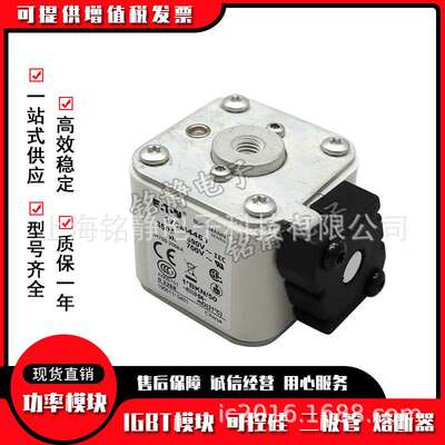 170M4463 170M4464 170M4465巴斯曼熔断器现货170M4466型号齐全