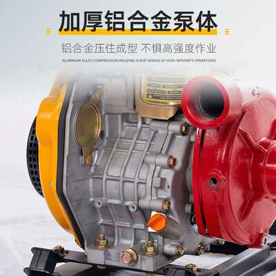 建能品智柴油 DP20HCIE柴油机水泵 大棚园林绿化市政灌溉应急水泵