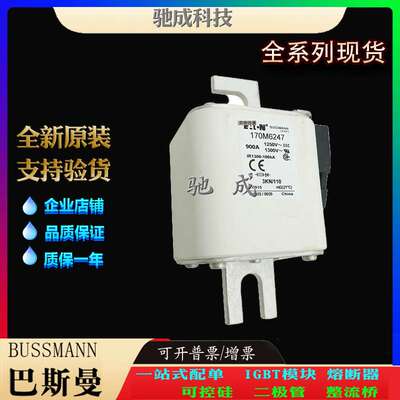 巴斯曼170M6245 170M6246 170M6247 厂家直供销售  特种保险丝