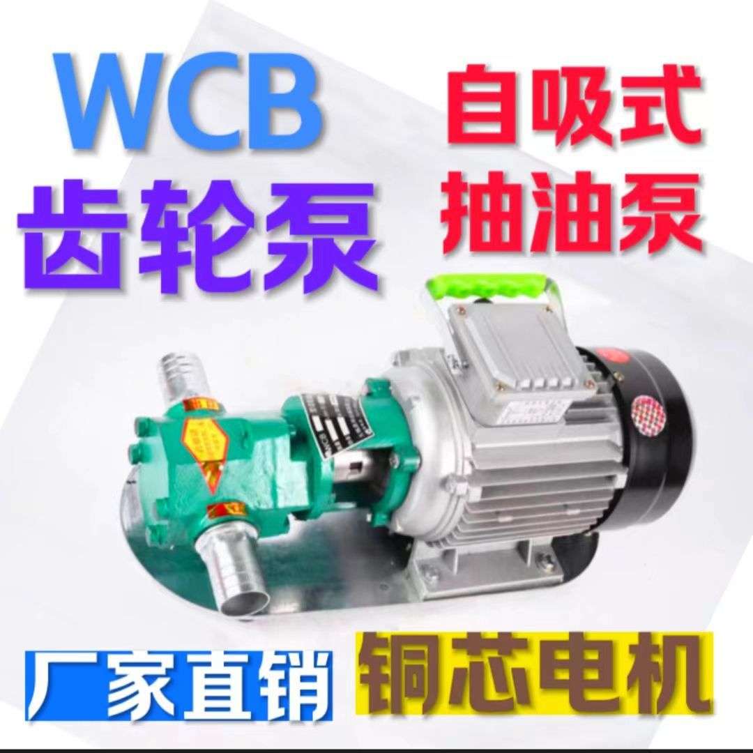 WCB便携式齿轮泵榨油机泵电动自吸抽油泵柴油机油泵菜籽油大豆油