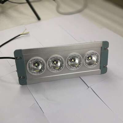 ZL8846-E 配电房应急低顶灯LED固态免维护事故应急照明灯GMD9124A