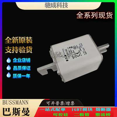 巴斯曼170M5190 170M5191 170M5192 大量现货优价供应 快速熔断器