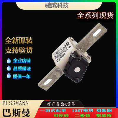 巴斯曼170M3813 170M3767 170M3814 厂家供货优价供应 方体熔断器