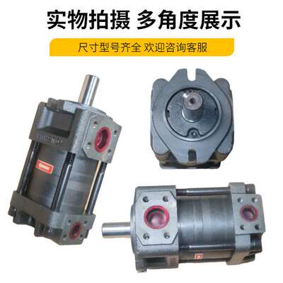 低噪音油泵NT2-G10F NT2-G12F NT2-G16F NT3-G20F G25F 32F伺服泵