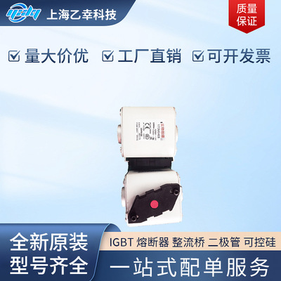 巴斯曼熔断器170M6482170M6483170M6484170M6485170M6486