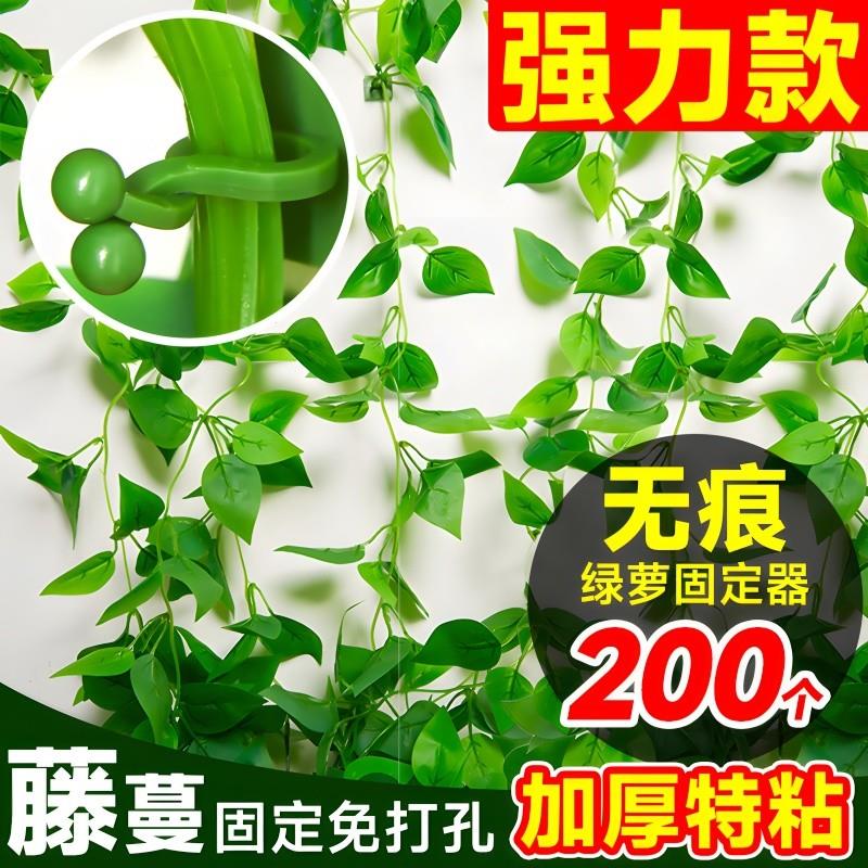 绿萝夹扣绿萝爬墙神器固定器无痕墙上挂钩自粘攀爬藤贴绿箩夹卡子