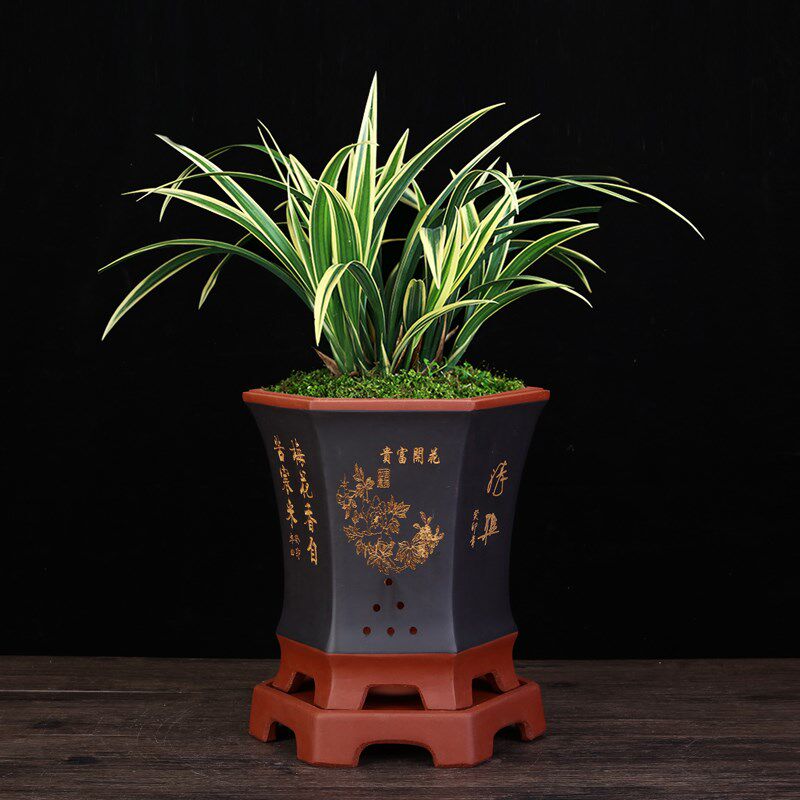 紫砂兰花盆精品高端六方手工刻绘桌面墨兰蕙兰君子兰专用盆中国风
