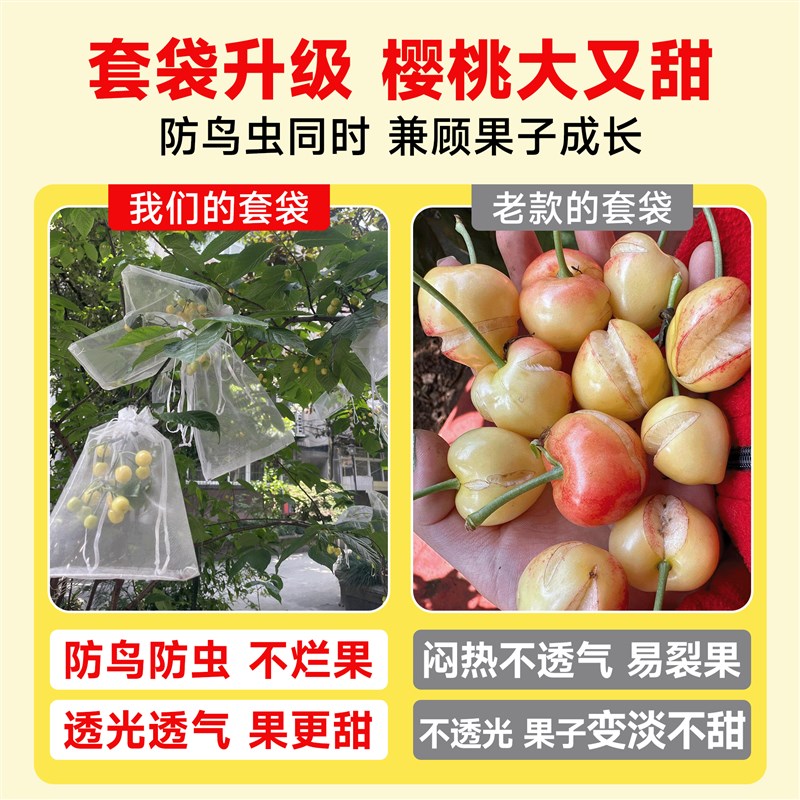 樱桃专用套袋果袋车厘子防虫防鸟袋子葡萄无花果石榴桃子水果网袋