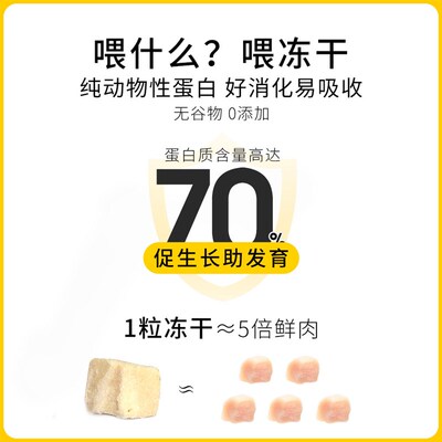 杰米冻干猫零食狗狗鸡胸肉干营养发腮美味猫粮领格宠物鸡肉粒150g