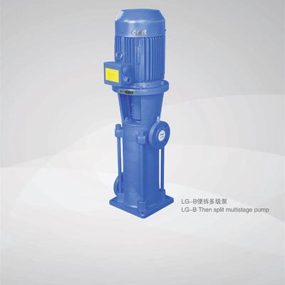 上海东方泵业(集团)有限公司25LG-B3-10*8多级泵