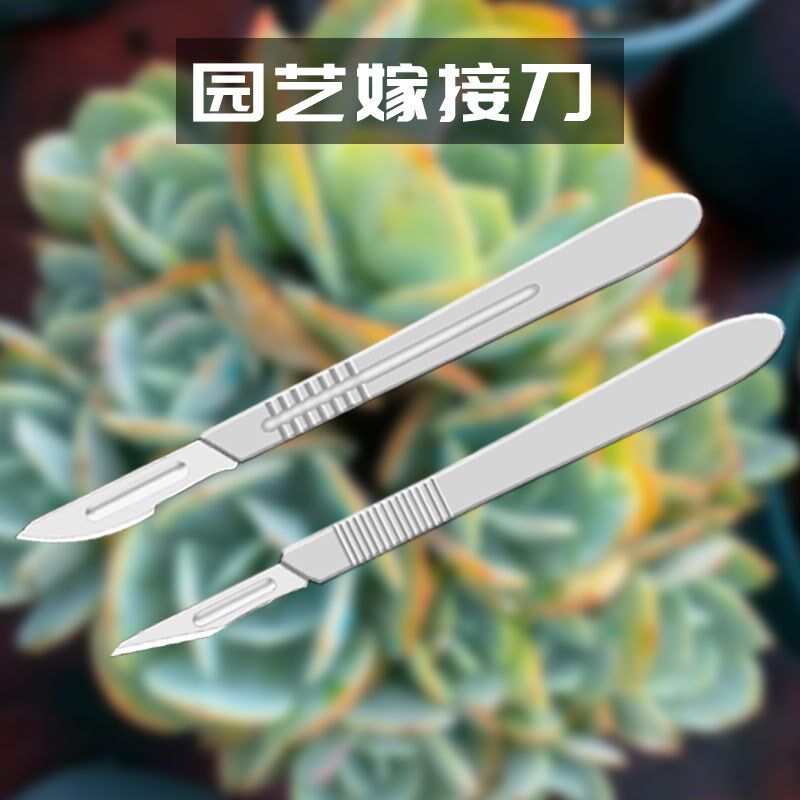 多肉砍头刀水仙雕刻刀蟹爪兰仙人球扦插芽接嫁接专用刀园艺嫁接刀