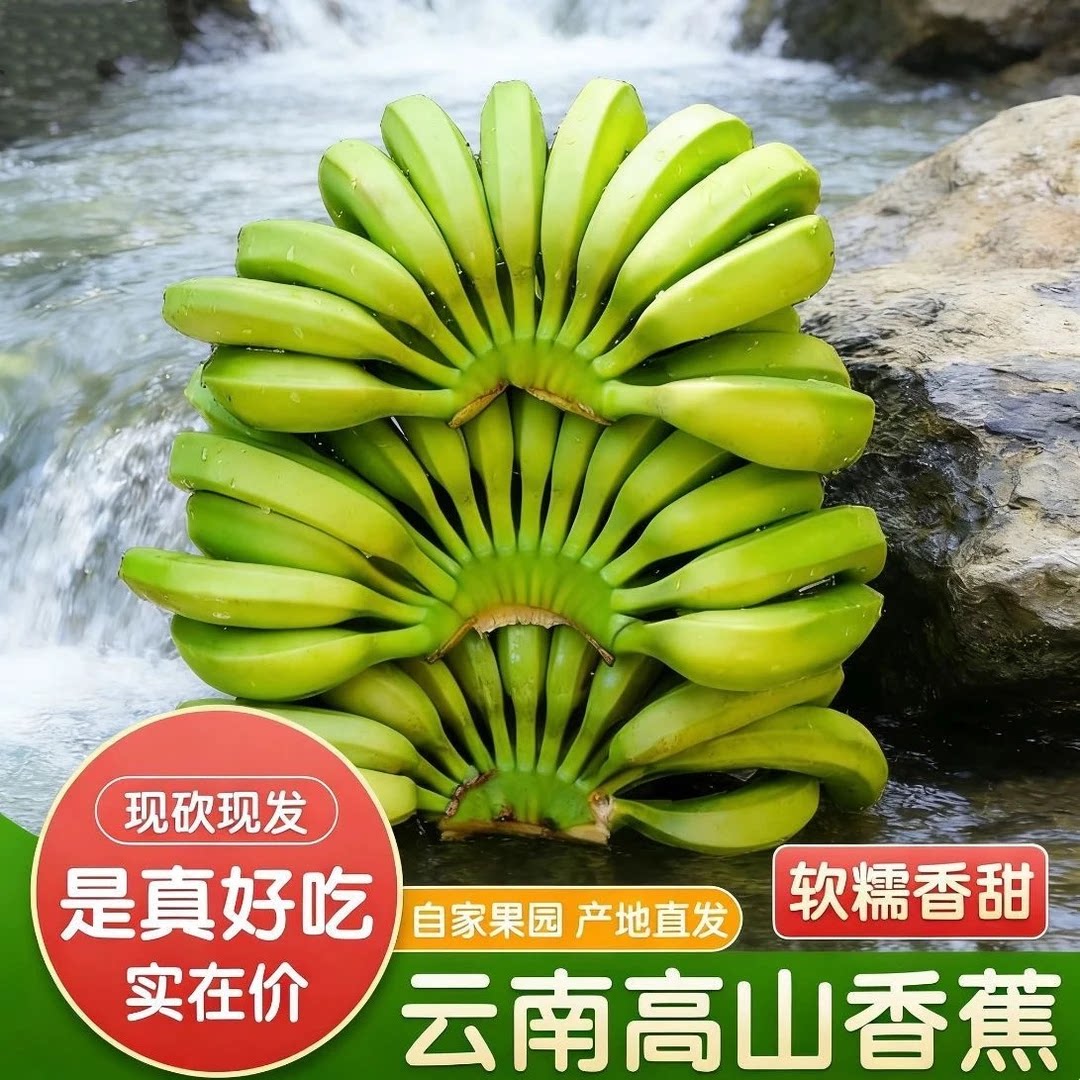 云南高山甜香蕉新鲜现摘软糯香甜青皮发货自行催熟当季水果