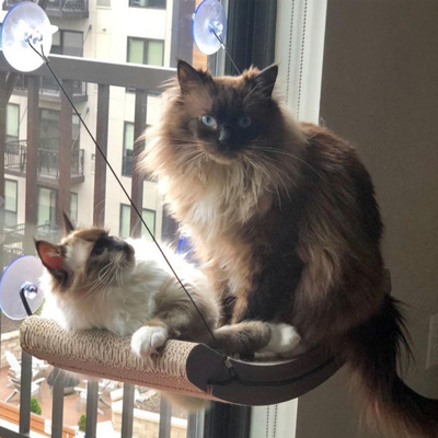 猫抓板kh吸盘窗吊床可替换墙挂式瓦楞纸猫窝宠物用品磨爪猫咪玩具