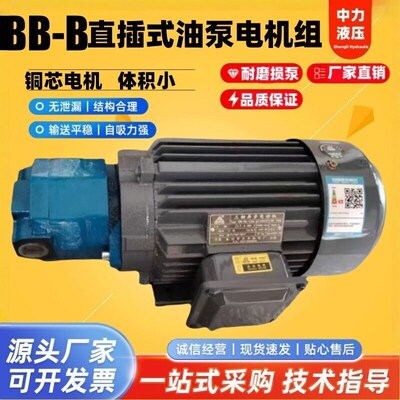 BB-B25NJZ-1/B16NJZ-1摆线齿轮油泵电机BB-B32N/B20/B40NJZ-1东高