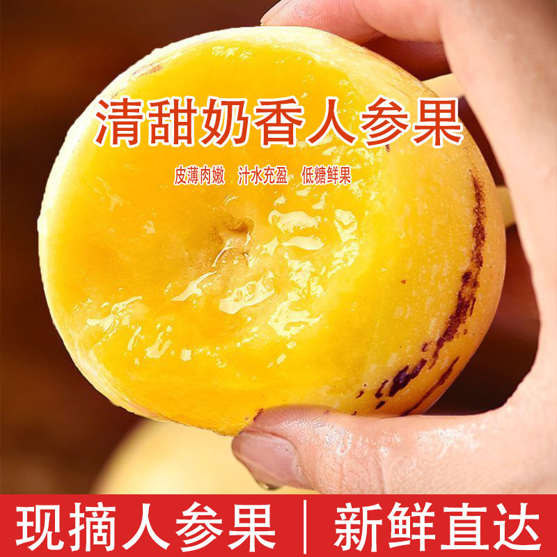 云南石林人参果清甜奶香新鲜直达现摘精品低糖时令水果产地直发