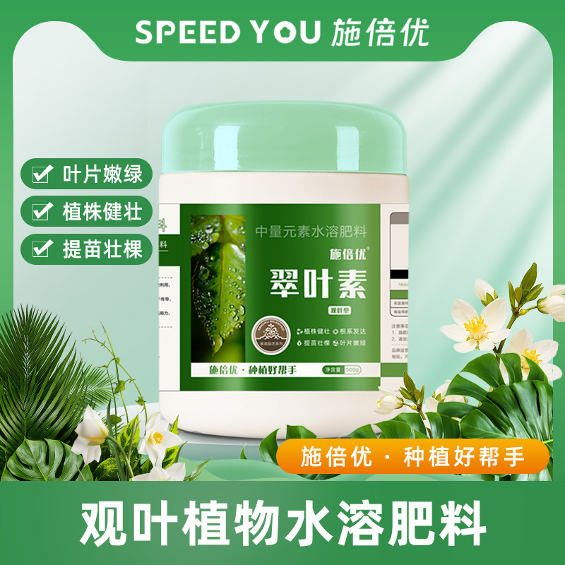 施倍优翠叶素花卉绿植观叶作物通用型发财树幸福树金钱树叶片油绿
