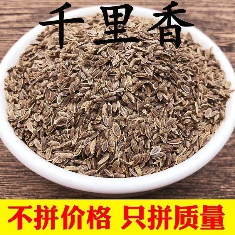 千里香 500g九里香百里香莳萝籽火锅卤菜香料 天然增香调味料调料
