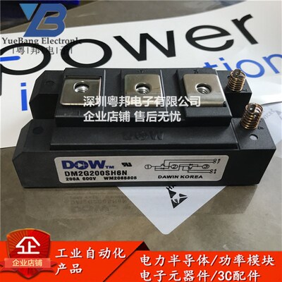 DM2G200SH6N DM2G300SH6NE DM2G150SH6N DM2G100SH6N POWER IGBT