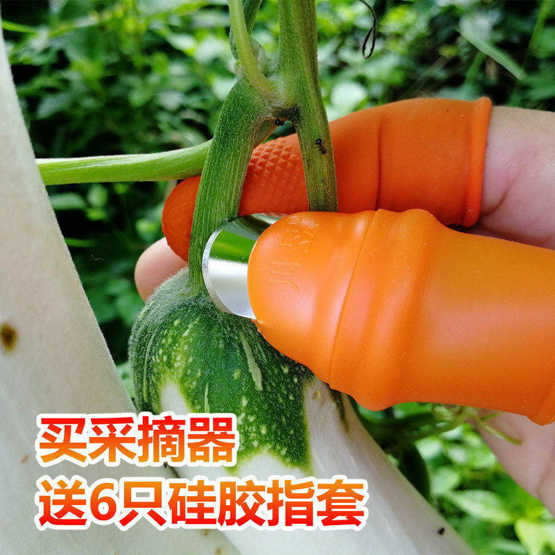 摘花椒的神器豆角铁指甲套摘菜神器采摘器拇指刀摘花椒的专用工具