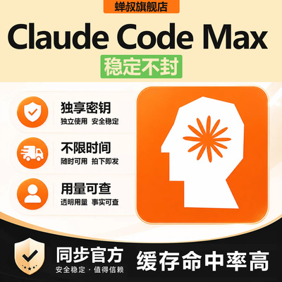 Claude code Max 代码工具稳定快速随时用不限时安装服务非境外