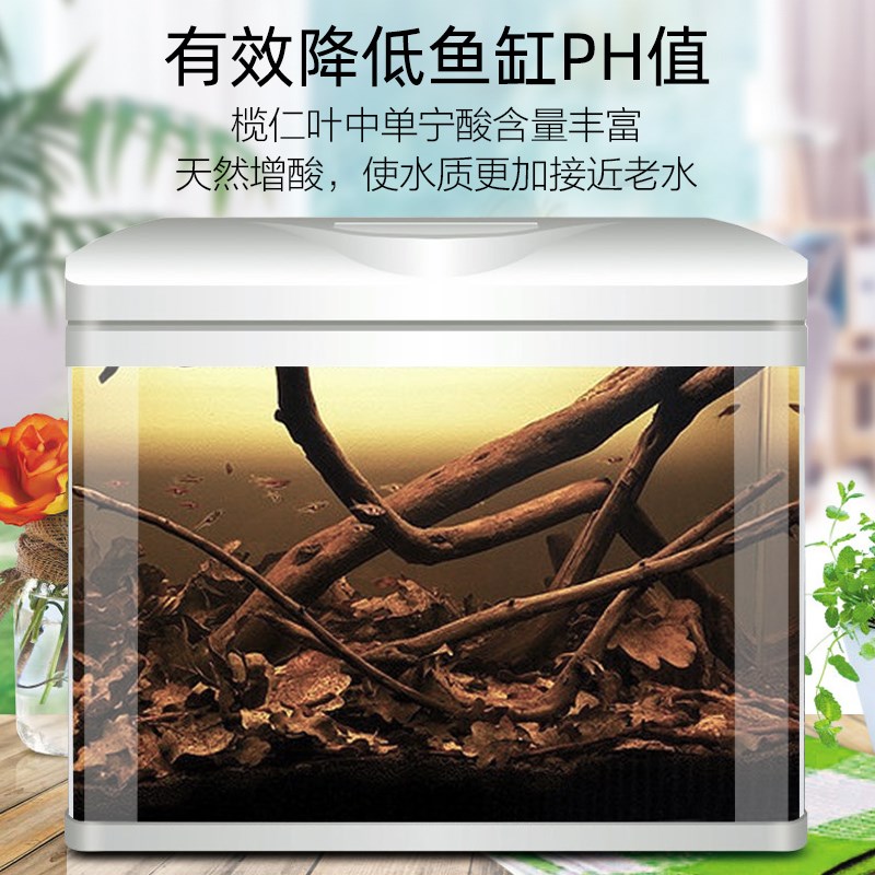 榄仁叶鱼缸懒人降ph值降低水族降酸调节剂乌龟酸斗鱼叶调节橄榄叶