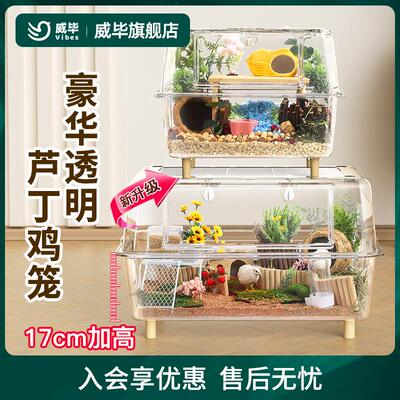 芦丁鸡饲养箱笼子大号透明观赏卢丁室内保温全套造景专用品