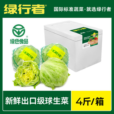 绿行者出口级球生菜新鲜