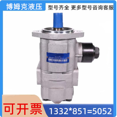 长源款液压双联齿轮泵CBTHY/FB-D410/E35-AFL叉车升降车专用