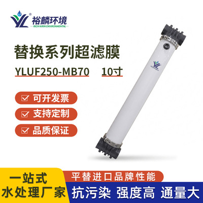 裕麟 替换系列YLUF250-MB70 PES10寸中空纤维超滤膜 水处理过滤膜