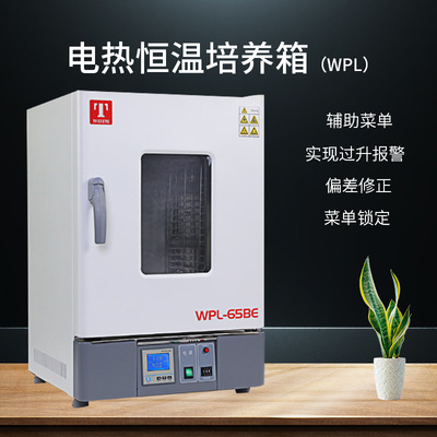 恒温箱  天津泰斯特 WPL-30B/230BE 台式电热恒温培养箱 仪锐科技