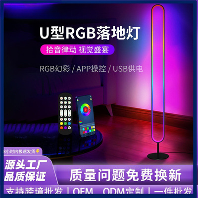 北欧现代简约RGB落地灯客厅卧室氛围灯智能涂鸦幻彩线条落地台灯