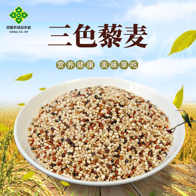 【真空装包500g】甘肃杂粮三色藜麦米白藜麦黑藜麦红藜麦三混合