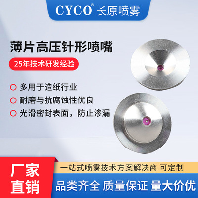 造纸喷嘴薄片液柱流喷头高压盲孔辊沟纹辊清洗红宝石陶瓷嵌体喷头