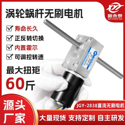 JGY-2838大扭矩涡轮蜗杆微型直流减速电机12v24v低速双螺杆小马达