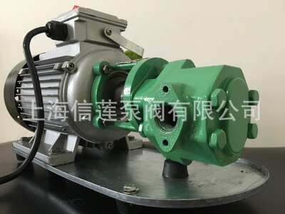齿轮泵 WCB微型输油泵 自吸便携式油料运输泵 手提式油桶油泵