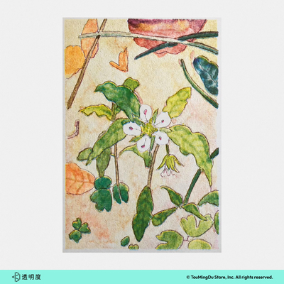 胡沁迪RISO作品 旅途自然入画 艺术画明信片 透明度商店