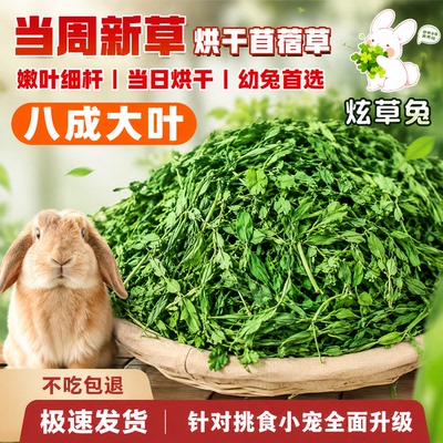 紫花苜蓿草兔子专用幼兔苜蓿草