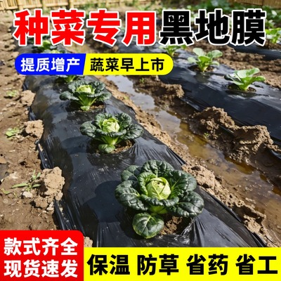 地膜种菜专用黑色加厚农用种植草莓薄膜小菜园盖菜防长草批发定制