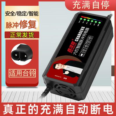 适用台铃电动电瓶车充电器48v60V64伏72付12ah20AH32AH自动断电