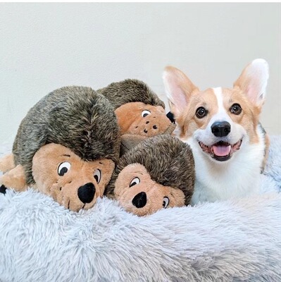 外贸出口猪叫声宠物玩具