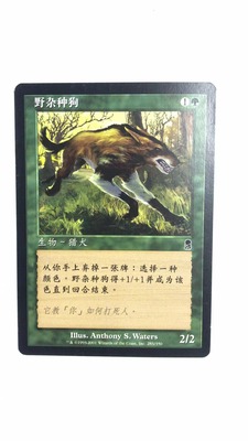 万智牌 野杂种狗 奥德赛 普 铁 普牌 绿 简中实拍上海文波MTG