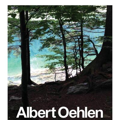 【现货】艾伯特-欧伦新的绘画作品Albert Oehlen: New Paintings 英文外国美术当代Daniel Baumann Page精装Rizzoli进口原版书978