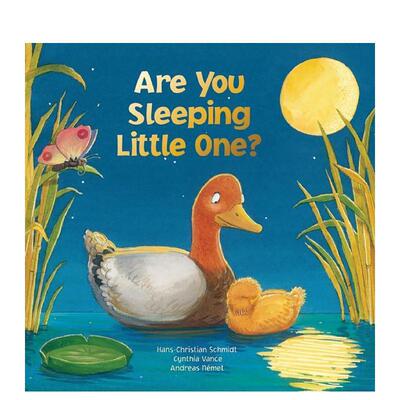 【预售】小家伙你睡着了吗Are You Sleeping Little One英文儿童绘本动物生态环保纸板书Abbeville Press进口原版书9780789211200